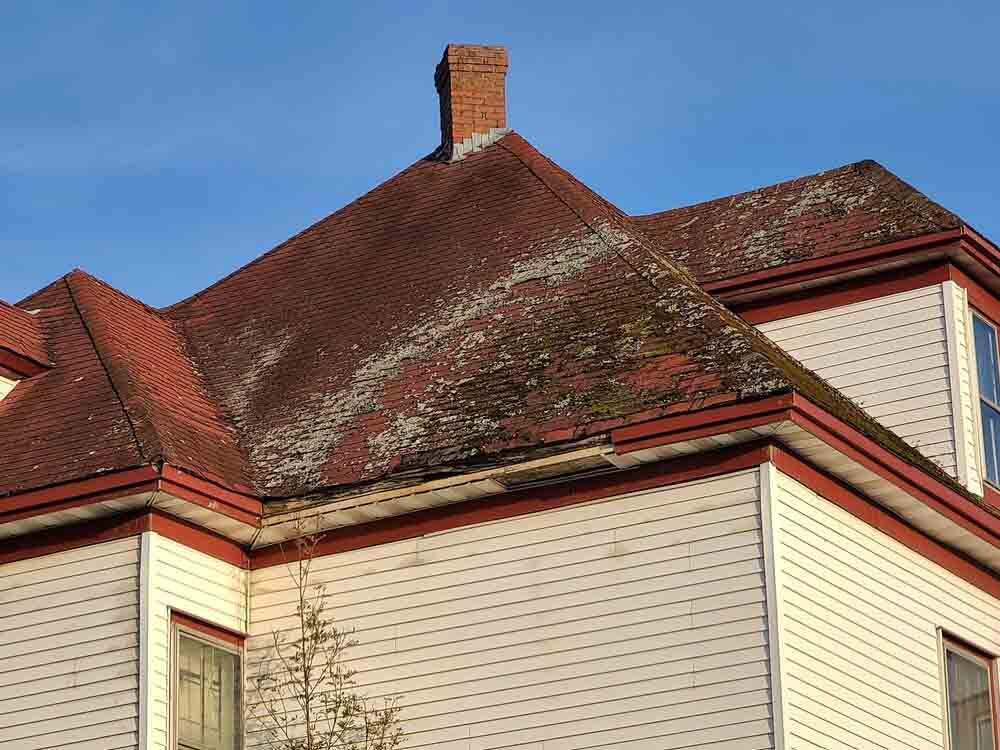 How to Prevent Roof Mold and Mildew Before It Spreads Indoors